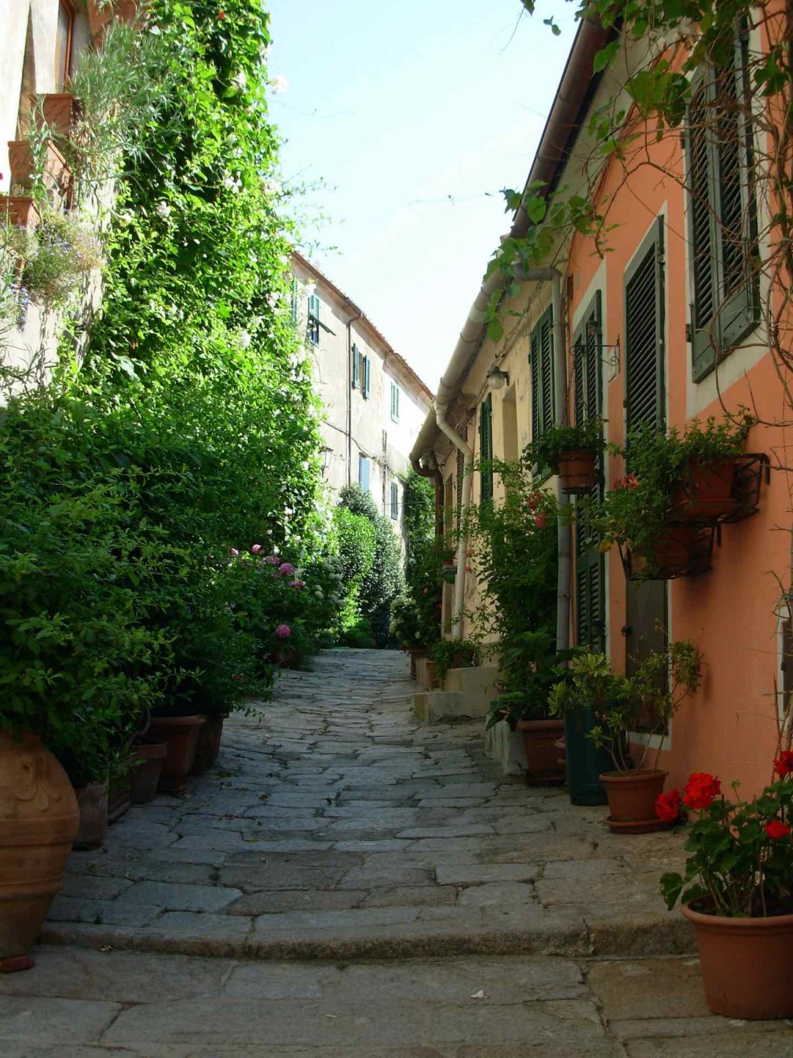 Marciana – Visit Marciana